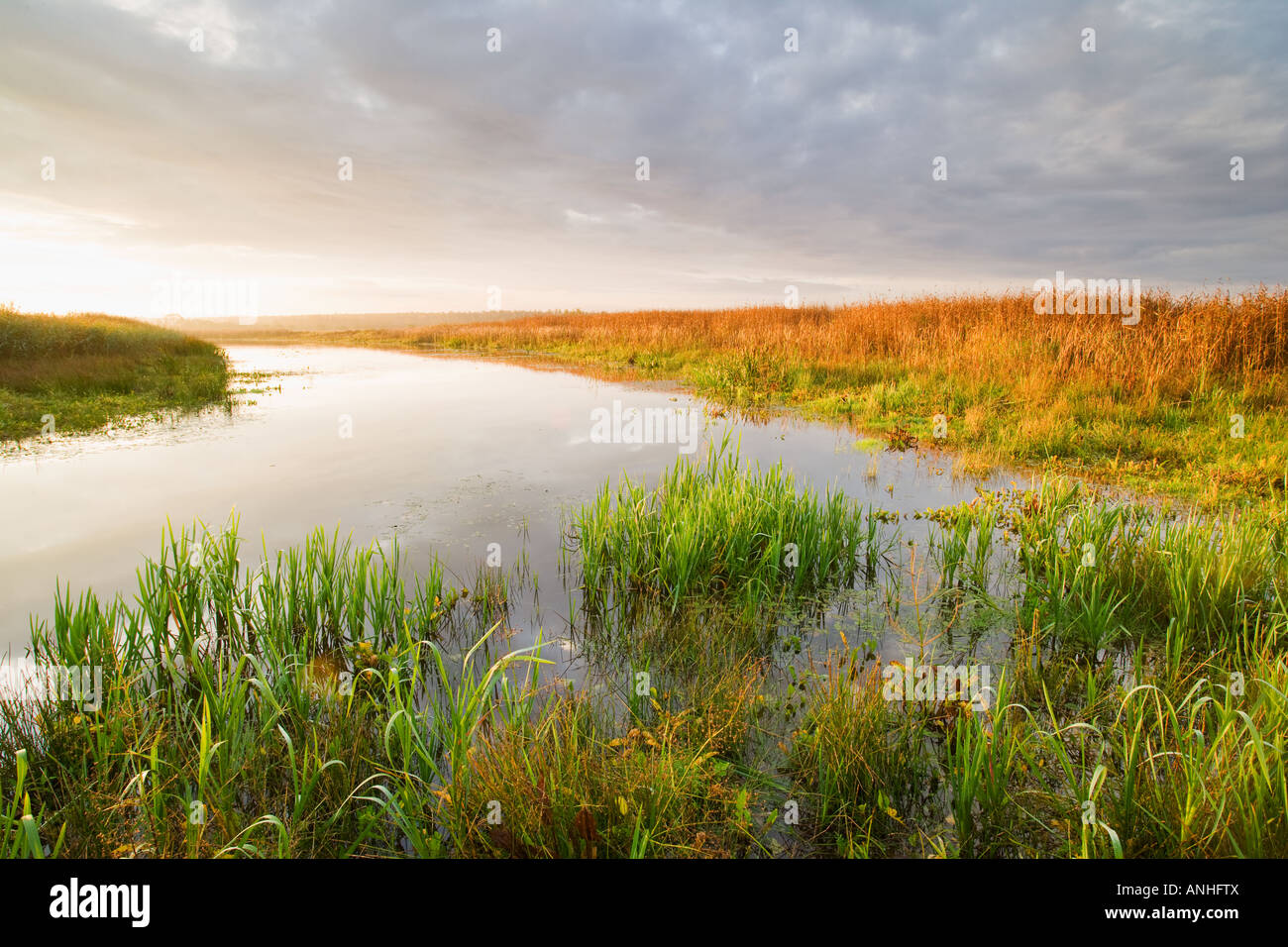 River Emajõgi at dawn Stock Photo - Alamy