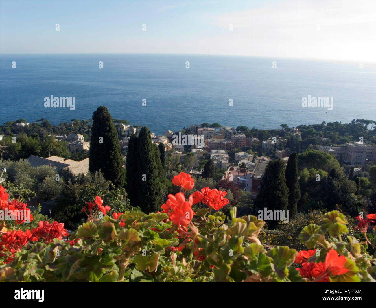 suggestive sea view with flower of genoa nervi from sant ilario town ...