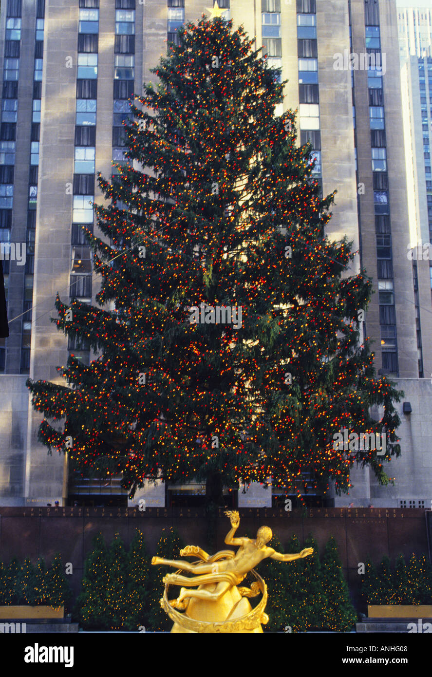 New York City Rockefeller Center Christmas tree in front of 30 ...