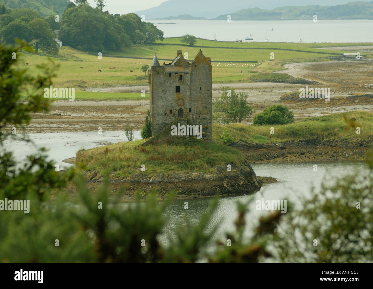 Castle Stalker, Appin, Scotland Stock Photo - Alamy
