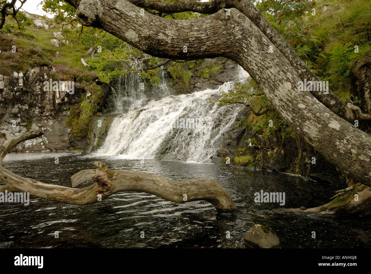 Waterfall on the Isle of Mull, Scotland Stock Photo - Alamy