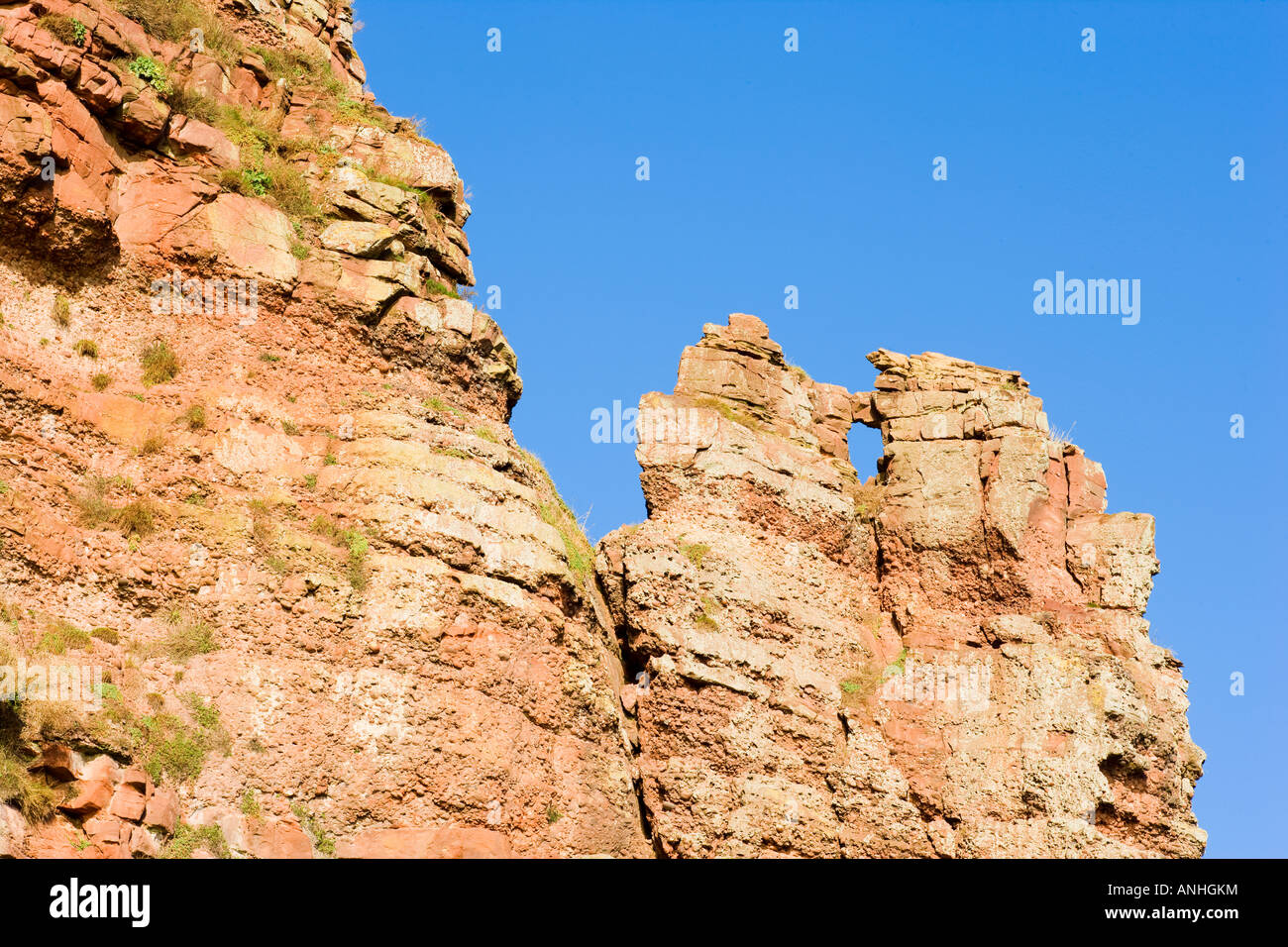 Lower old red sandstone cliffs Stock Photo - Alamy