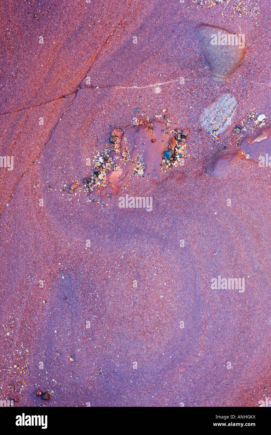 Lower old red sandstone platform Stock Photo - Alamy