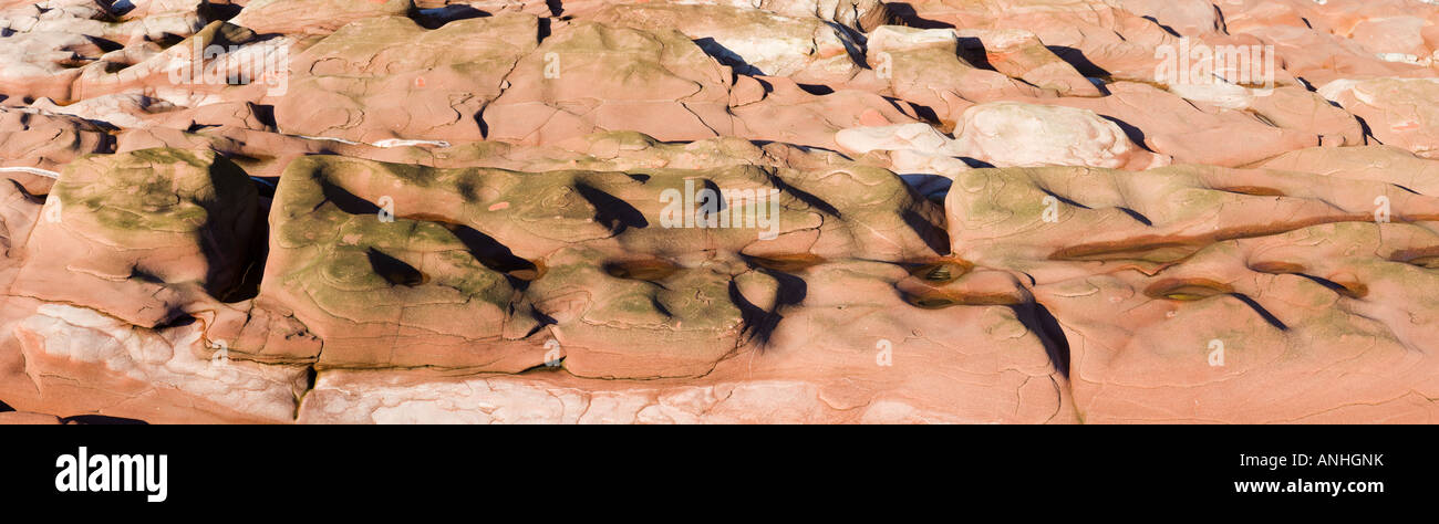 Lower old red sandstone platform Stock Photo - Alamy