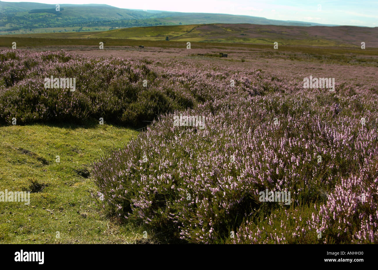 Colin hugill moors hi-res stock photography and images - Alamy