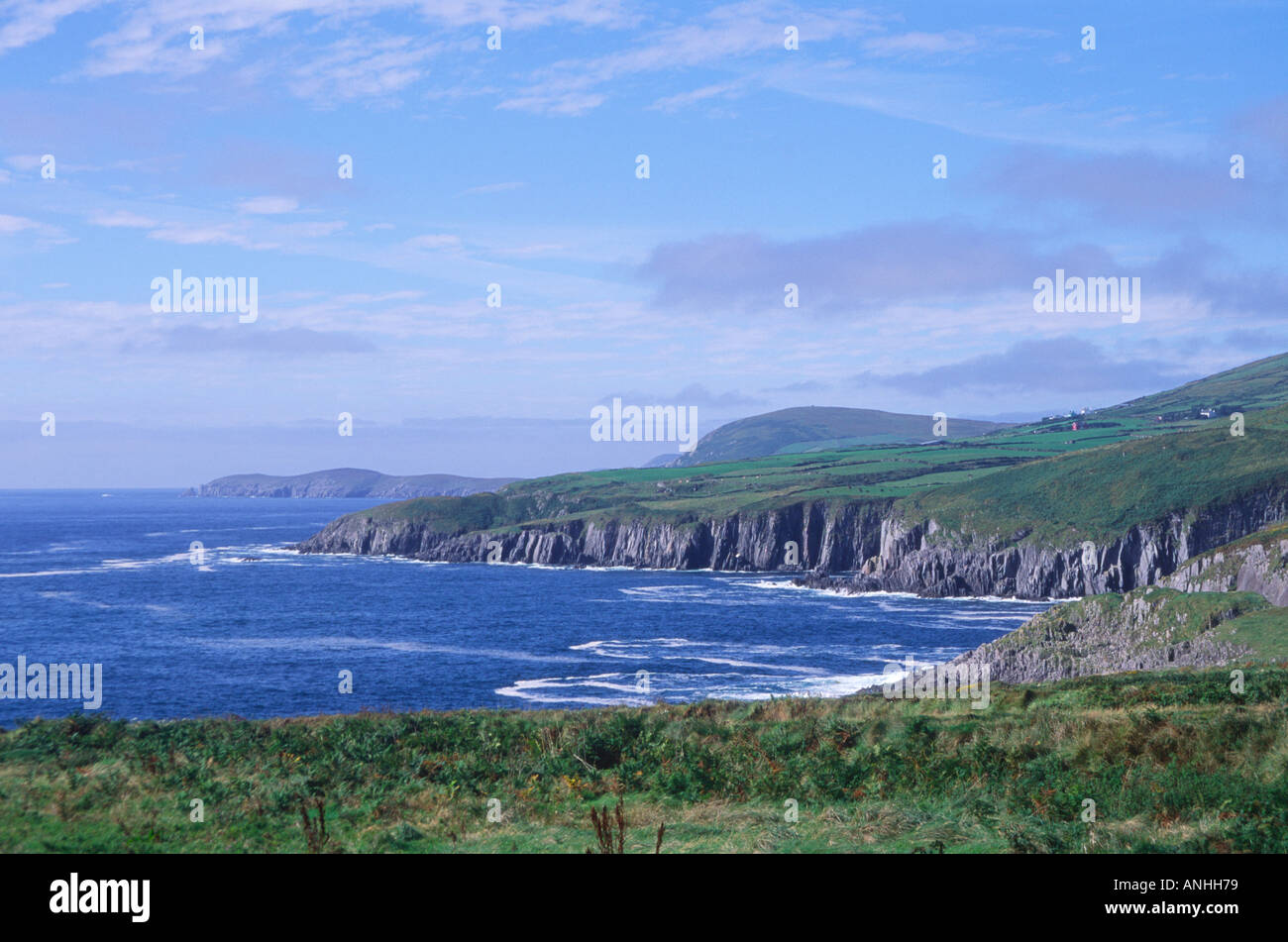 Coastal scenery cliffs Dursey Head Beara peninsula County Cork Ireland ...