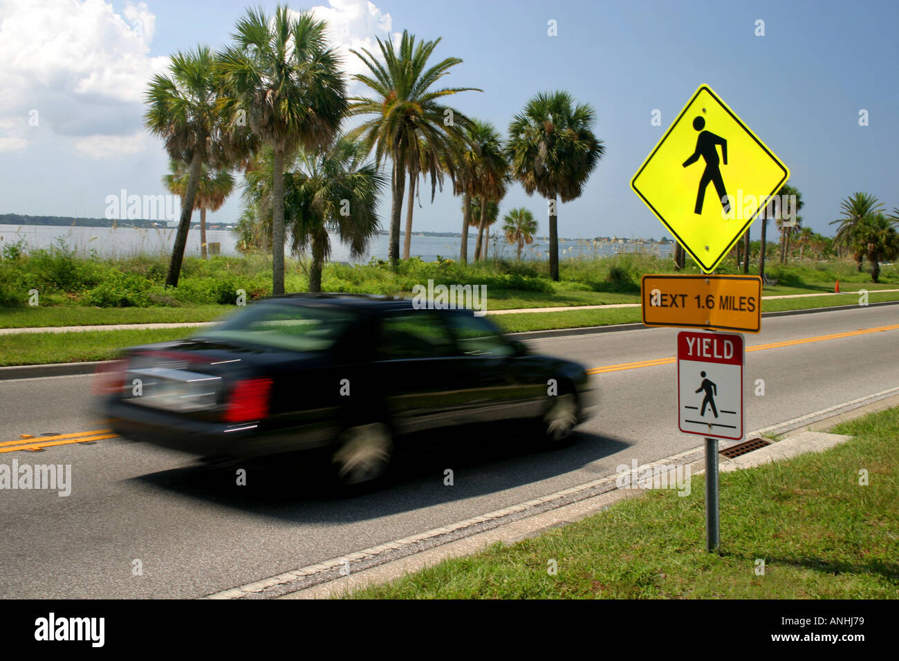 A Black Saloon Car passing a road sign in Clearwater Florida United ...