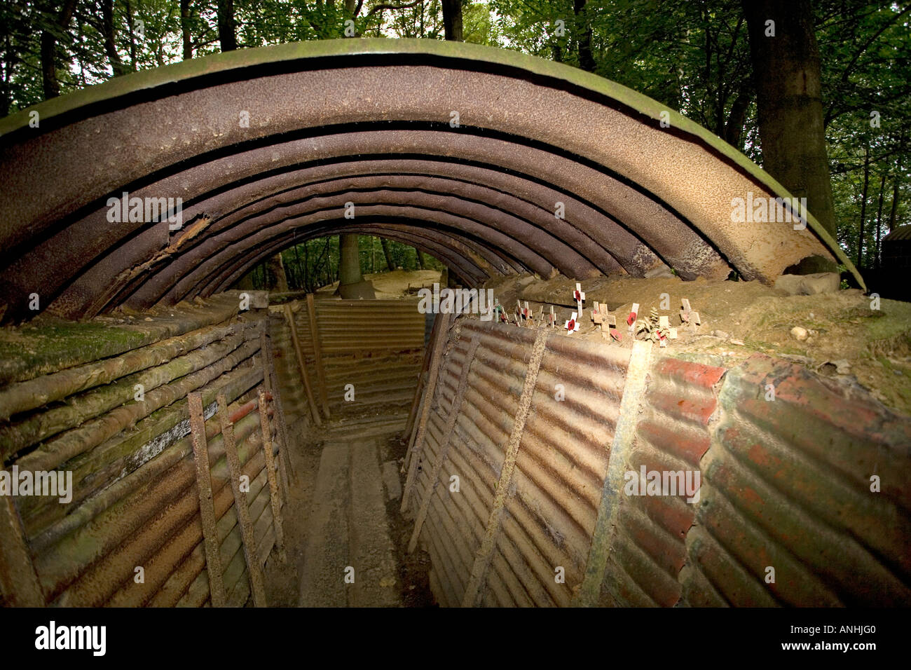 Preserved WW1 shell holes and trenches at Sanctuary Wood near Ypres ...