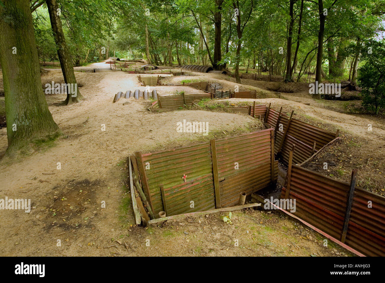 Preserved WW1 shell holes and trenches at Sanctuary Wood near Ypres ...