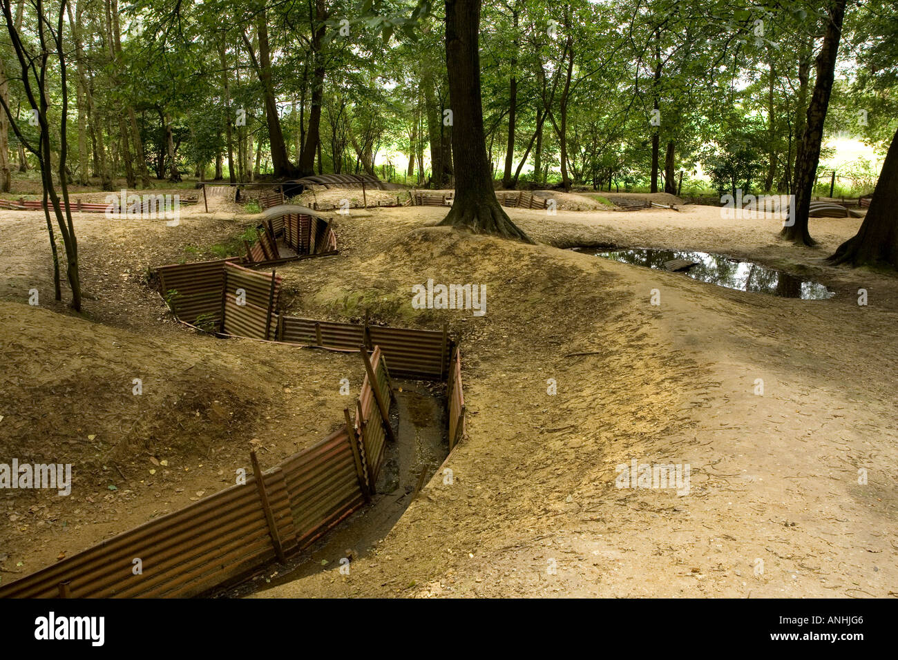 Preserved WW1 shell holes and trenches at Sanctuary Wood near Ypres ...