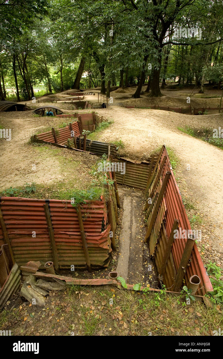 Preserved WW1 shell holes and trenches at Sanctuary Wood near Ypres ...