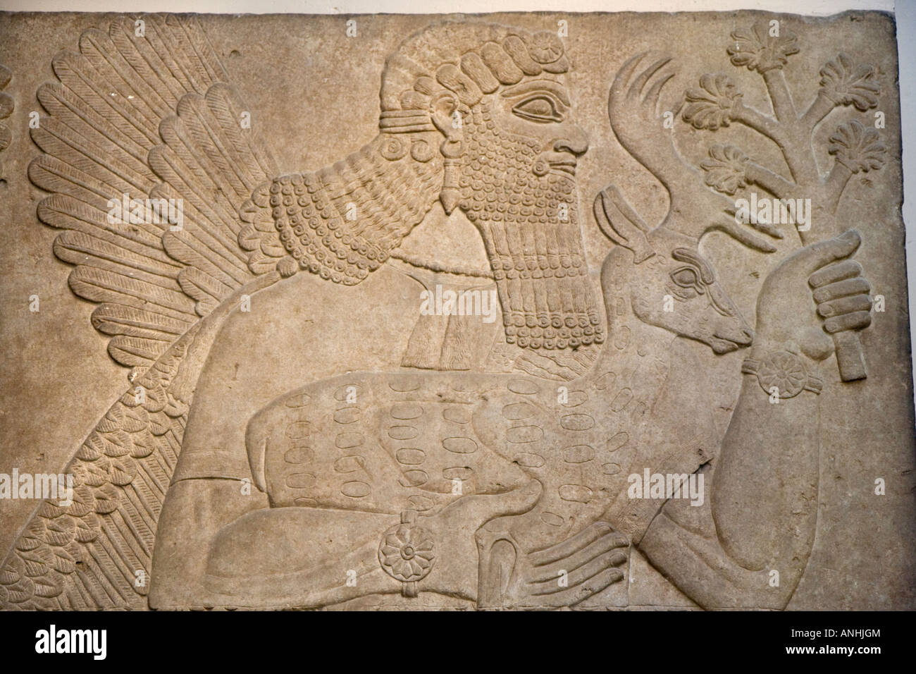 Assyrian frieze british museum hi-res stock photography and images - Alamy