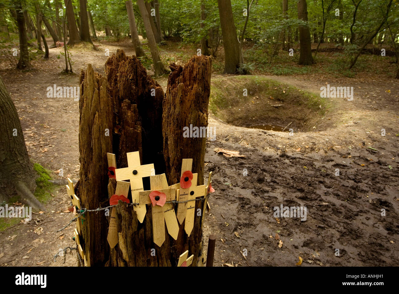 Shell holes trenches landscape ww1 hi-res stock photography and images ...