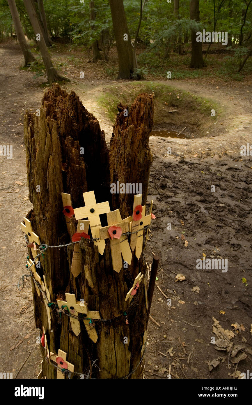 Shell holes trenches landscape ww1 hi-res stock photography and images ...