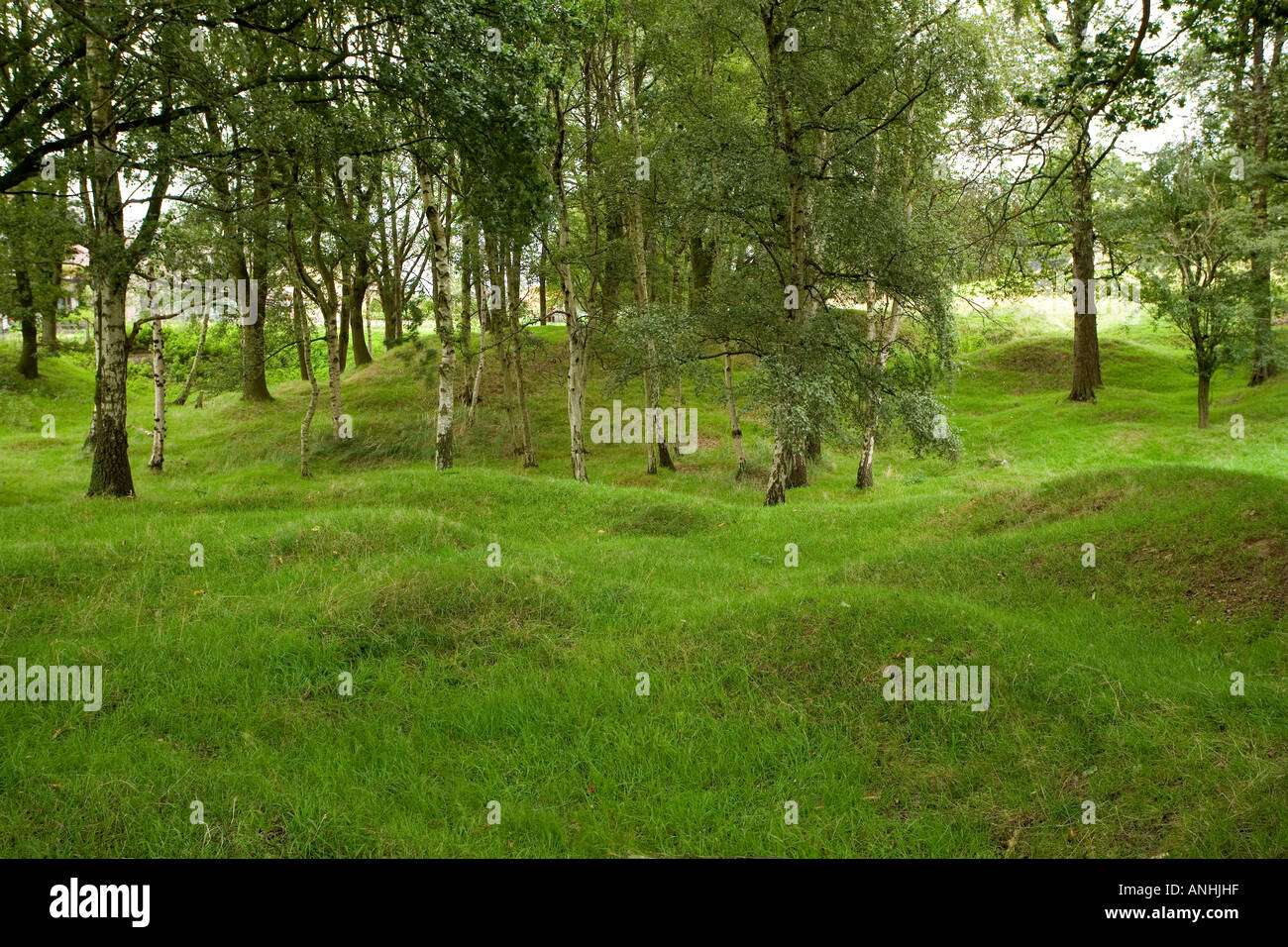 Hill 60 flanders hi-res stock photography and images - Alamy