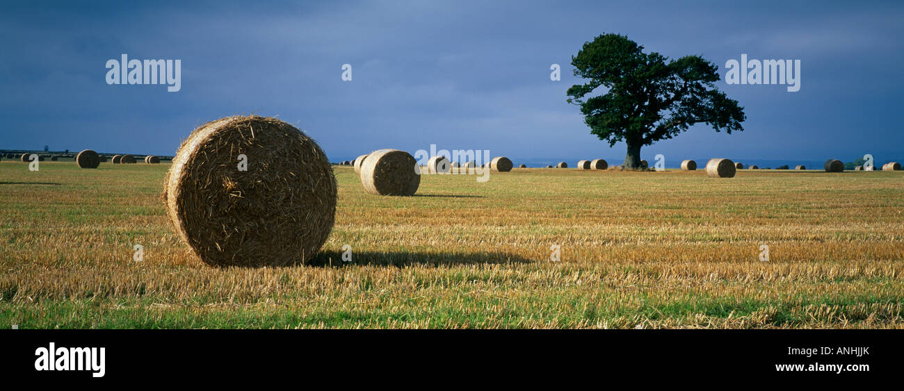 Dull perthshire hi-res stock photography and images - Alamy