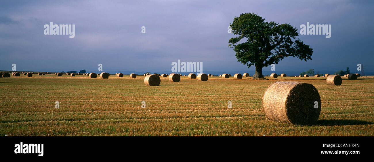 Dull perthshire hi-res stock photography and images - Alamy