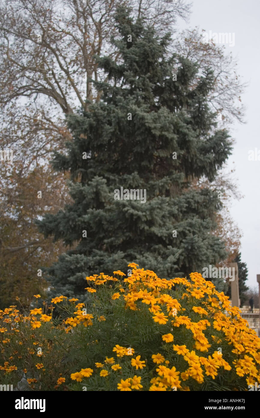 Gence AZERBAIJAN 2005 Stock Photo - Alamy