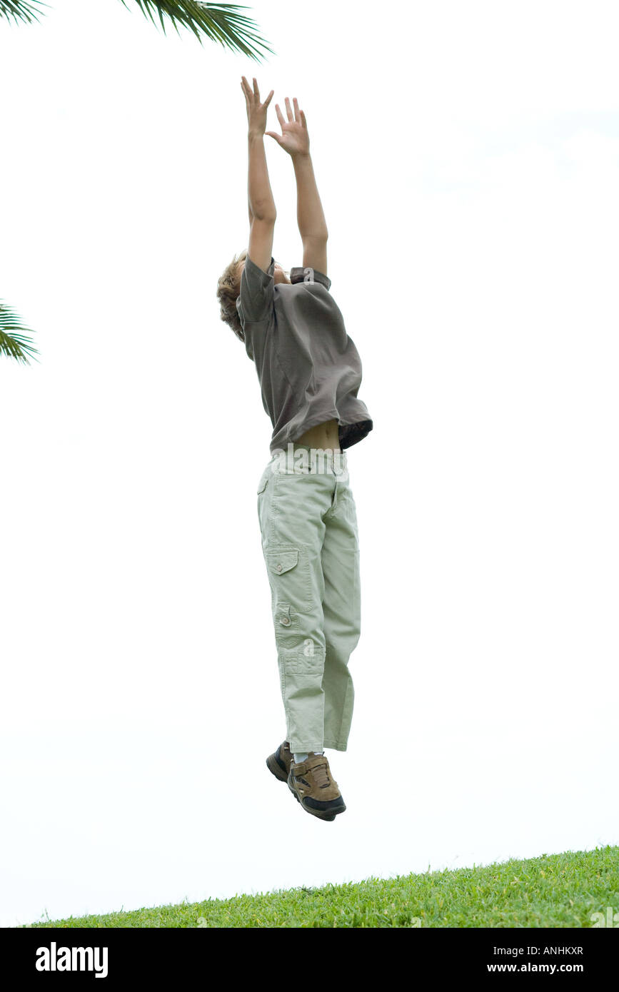 Boy jumping in air to reach foliage Stock Photo - Alamy