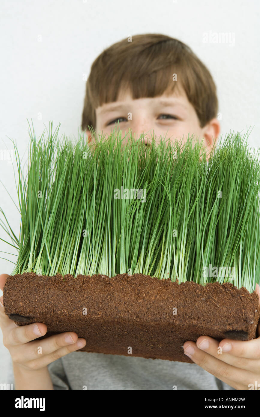Boy holding grass in front of face, looking at camera Stock Photo - Alamy