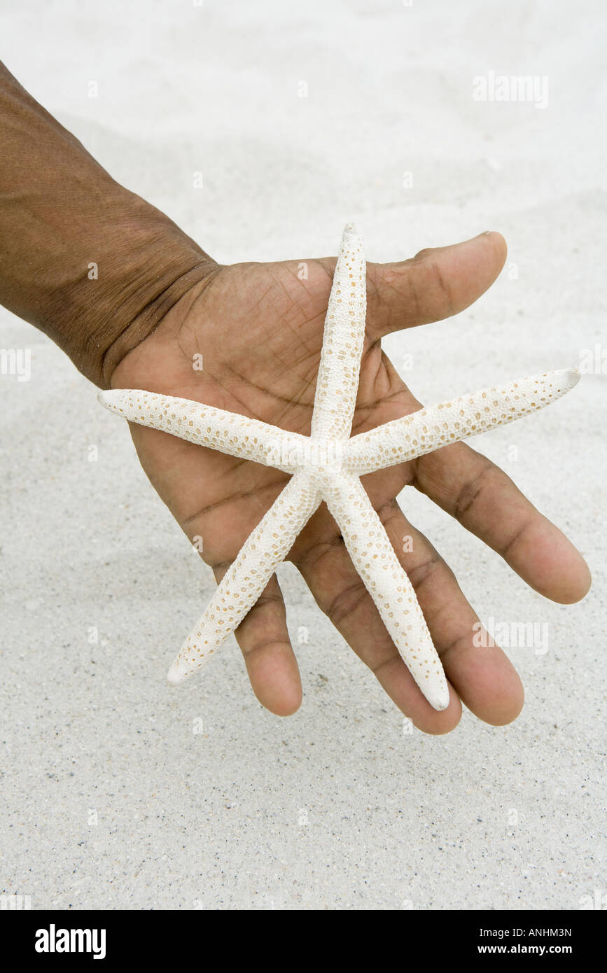 Starfish close up hi-res stock photography and images - Alamy