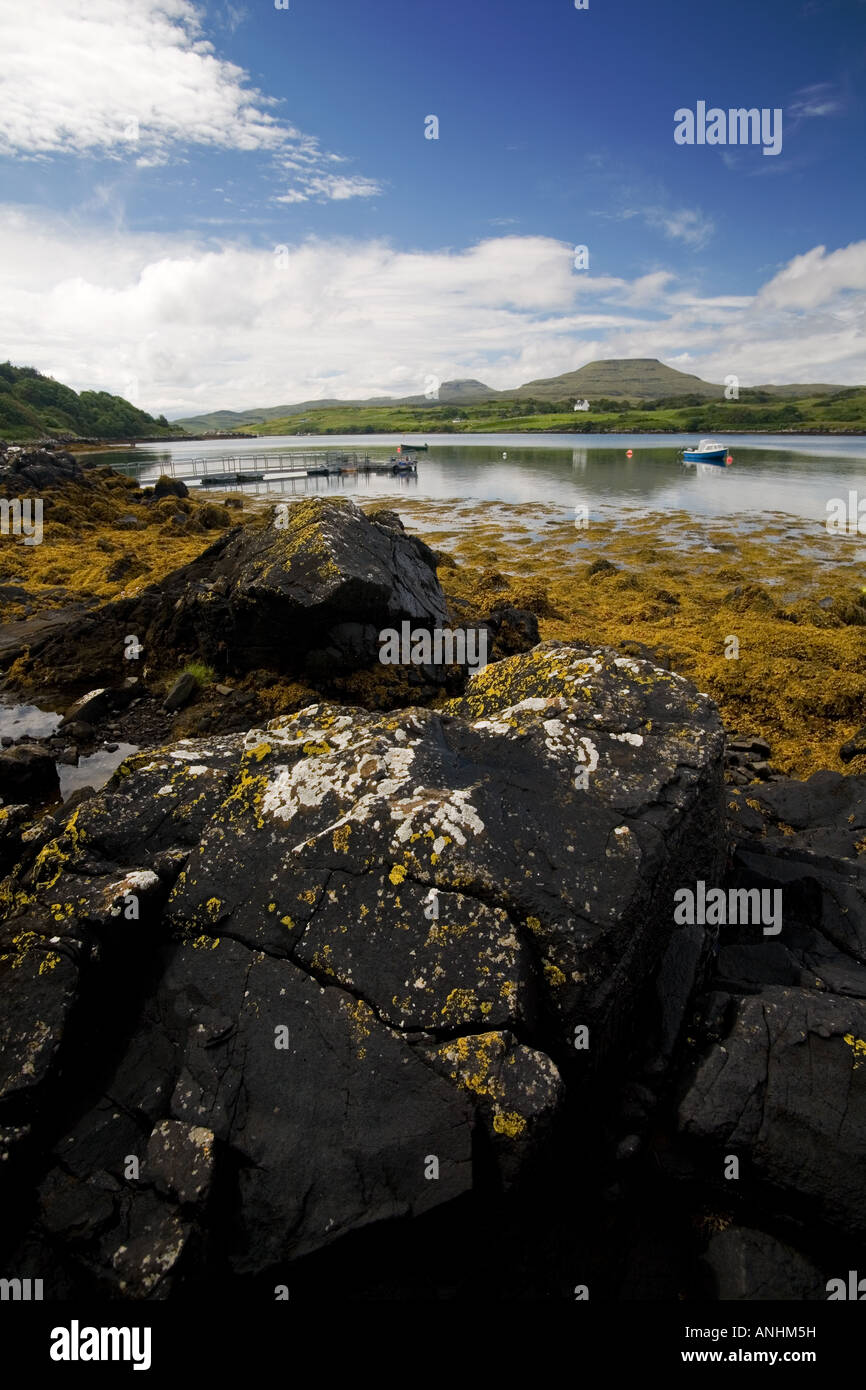 Macleods tables hi-res stock photography and images - Alamy