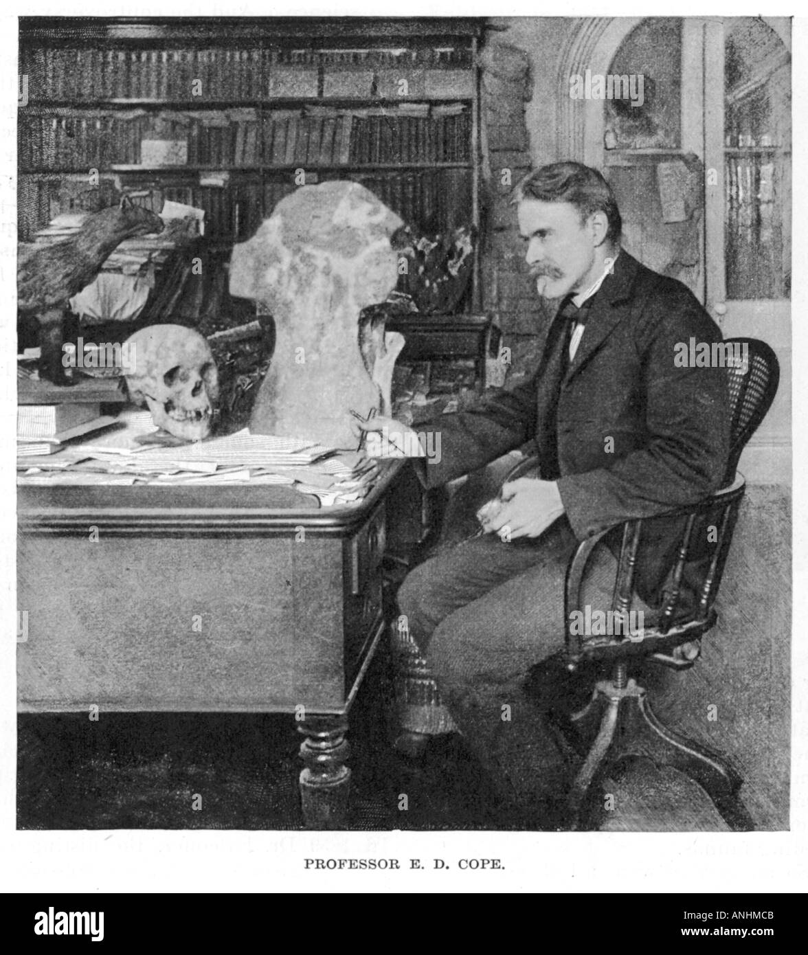 Edward cope hi-res stock photography and images - Alamy