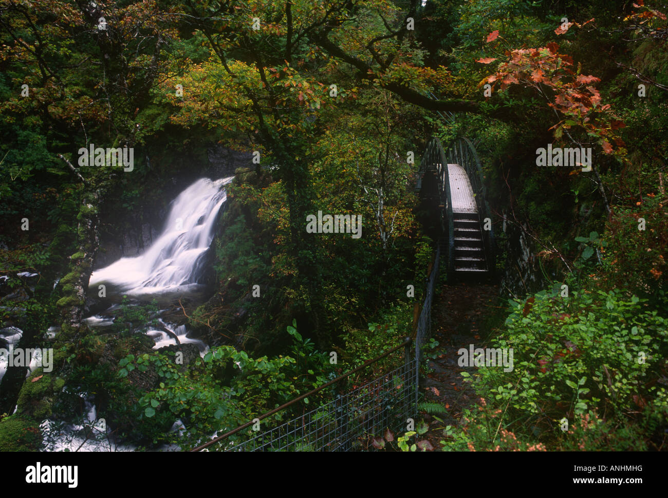 Devils bridge falls, ceredigion, hi-res stock photography and images ...