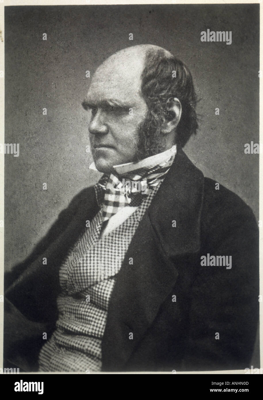 Checked waistcoat hi-res stock photography and images - Alamy