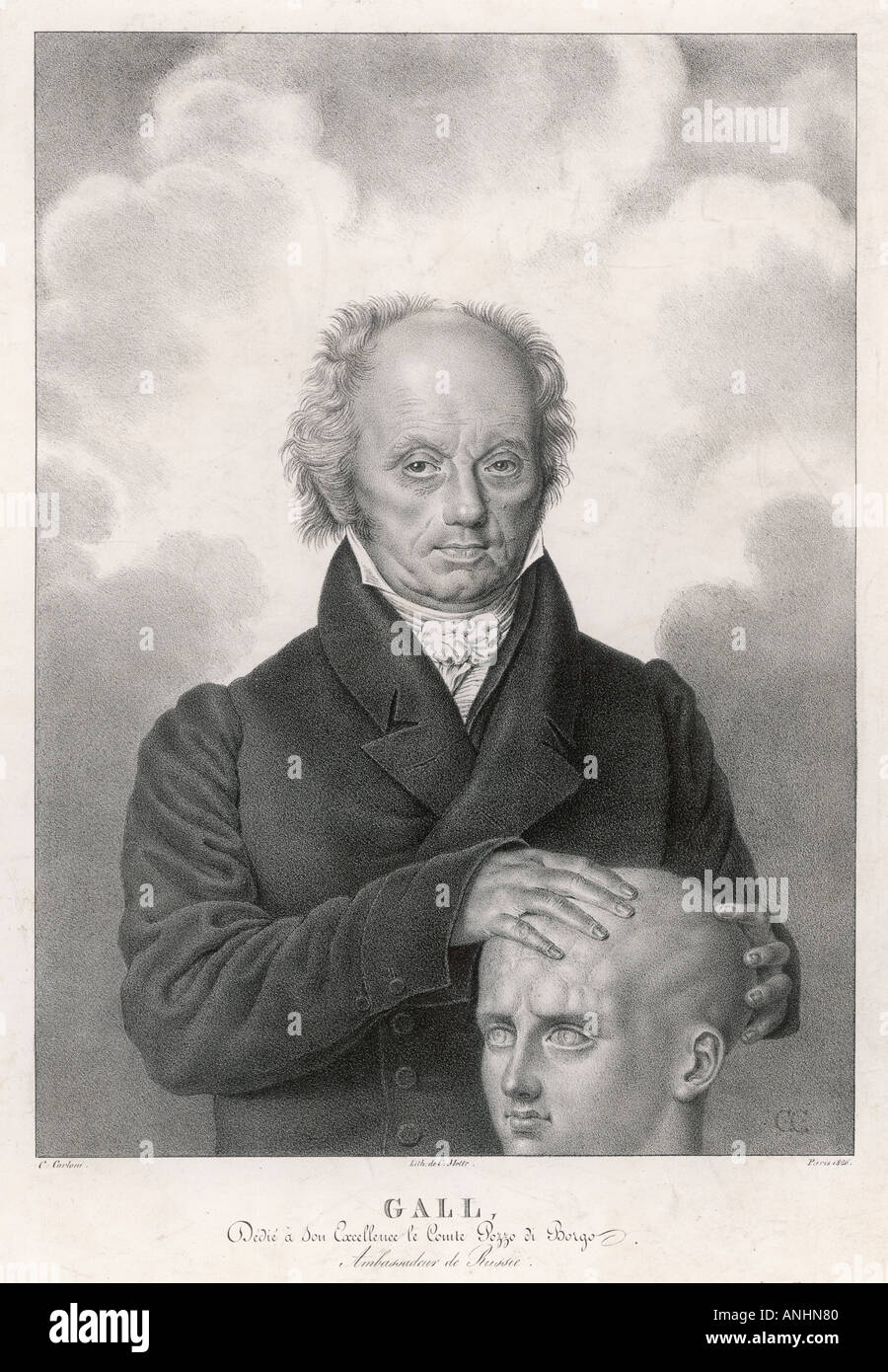 Franz gall hi-res stock photography and images - Alamy