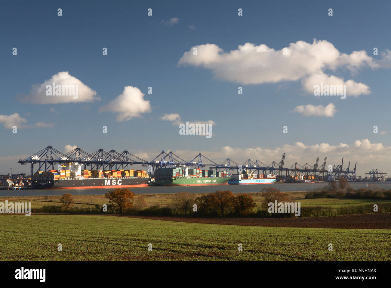 Shotley Field