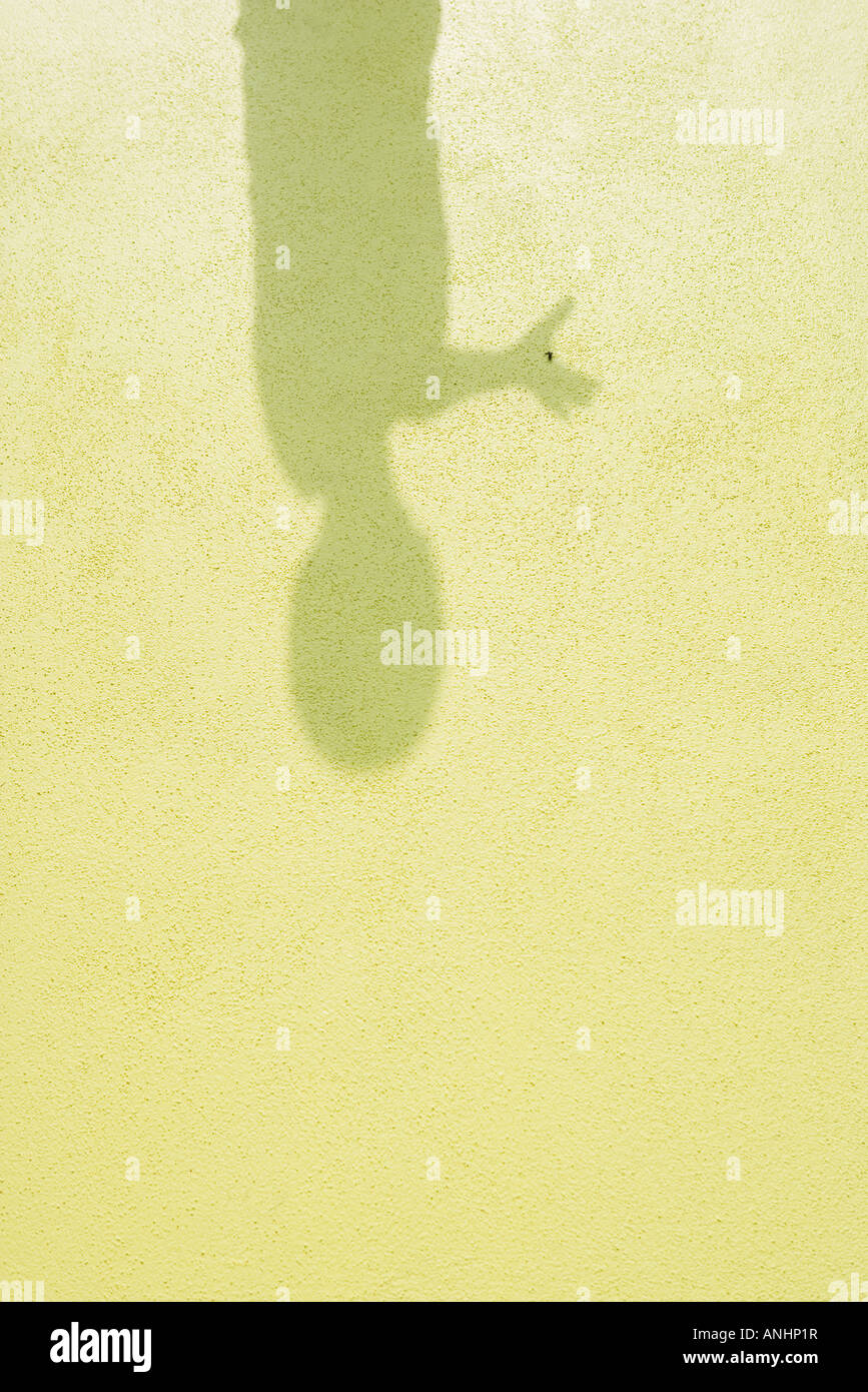 Silhouettes kids shadows hi-res stock photography and images - Alamy