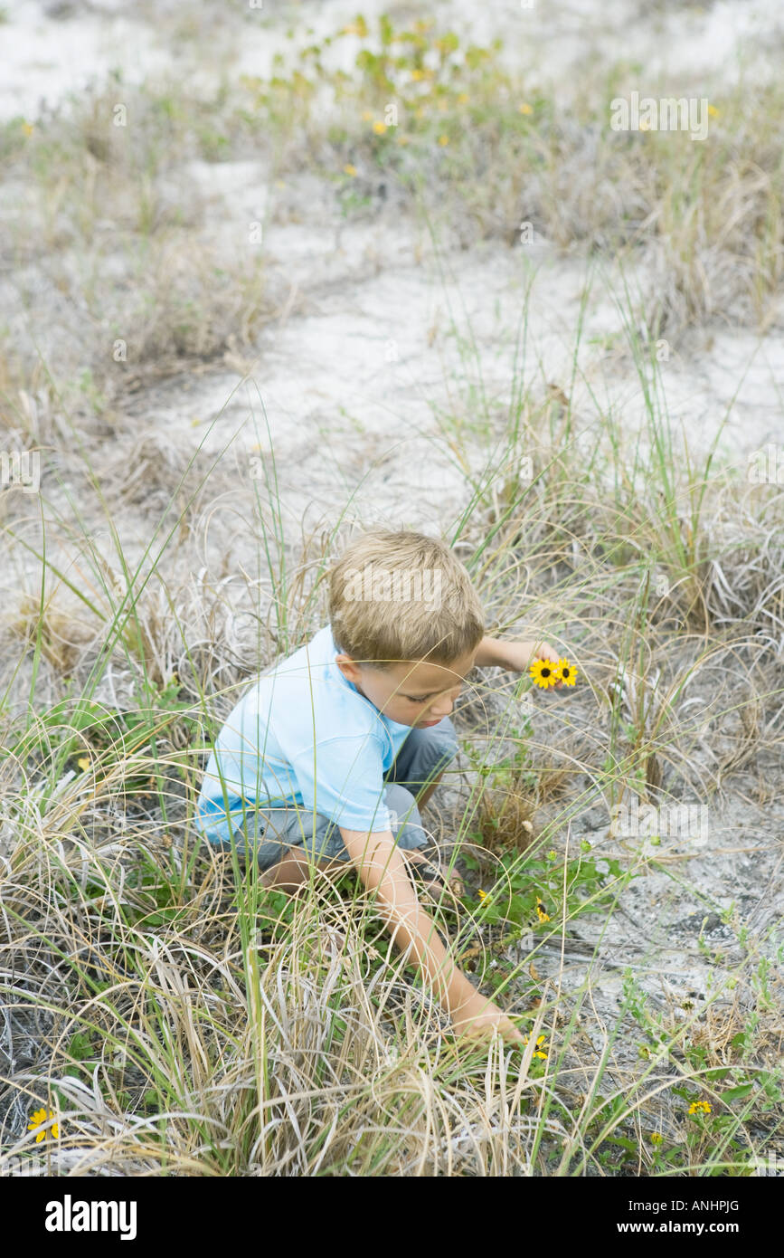 Young boy crouching to pick flowers, high angle view Stock Photo - Alamy
