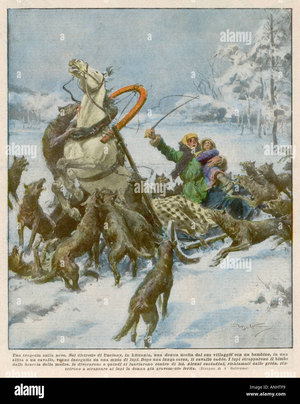 Wolves And People Stock Photo - Alamy