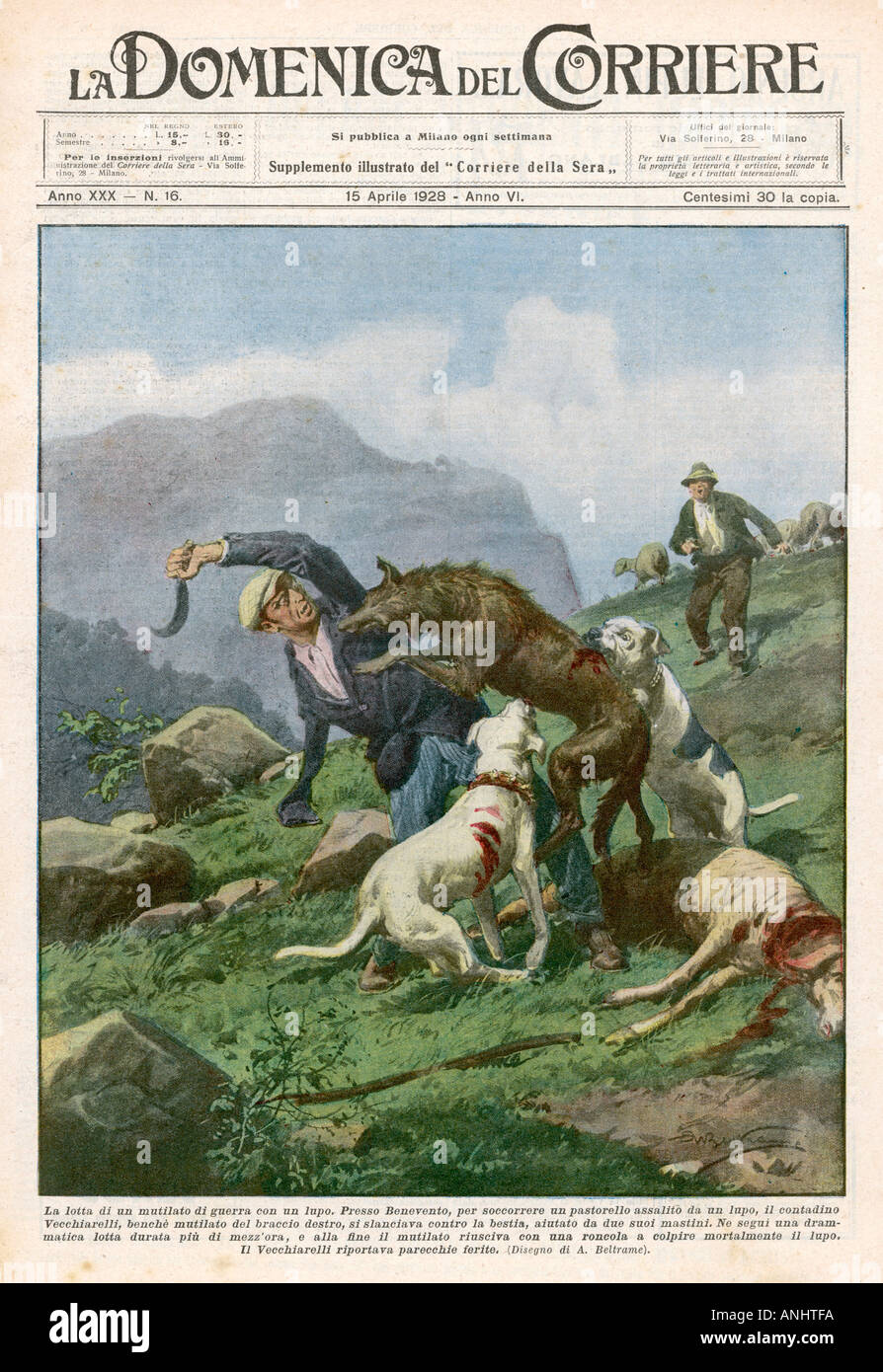 Wolves And People Stock Photo - Alamy