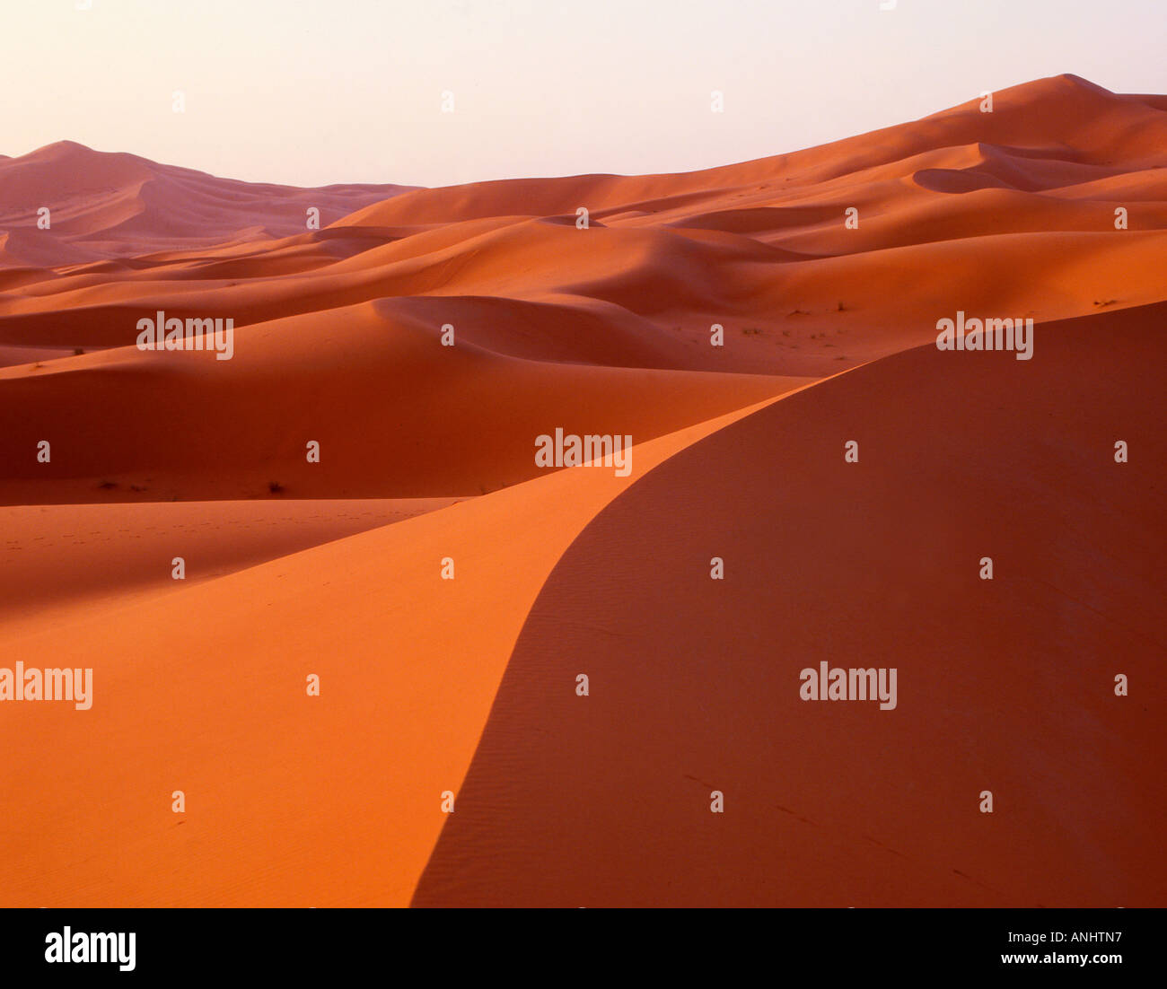 Morocco Tafilalt Sahara Desert sand dunes Stock Photo - Alamy