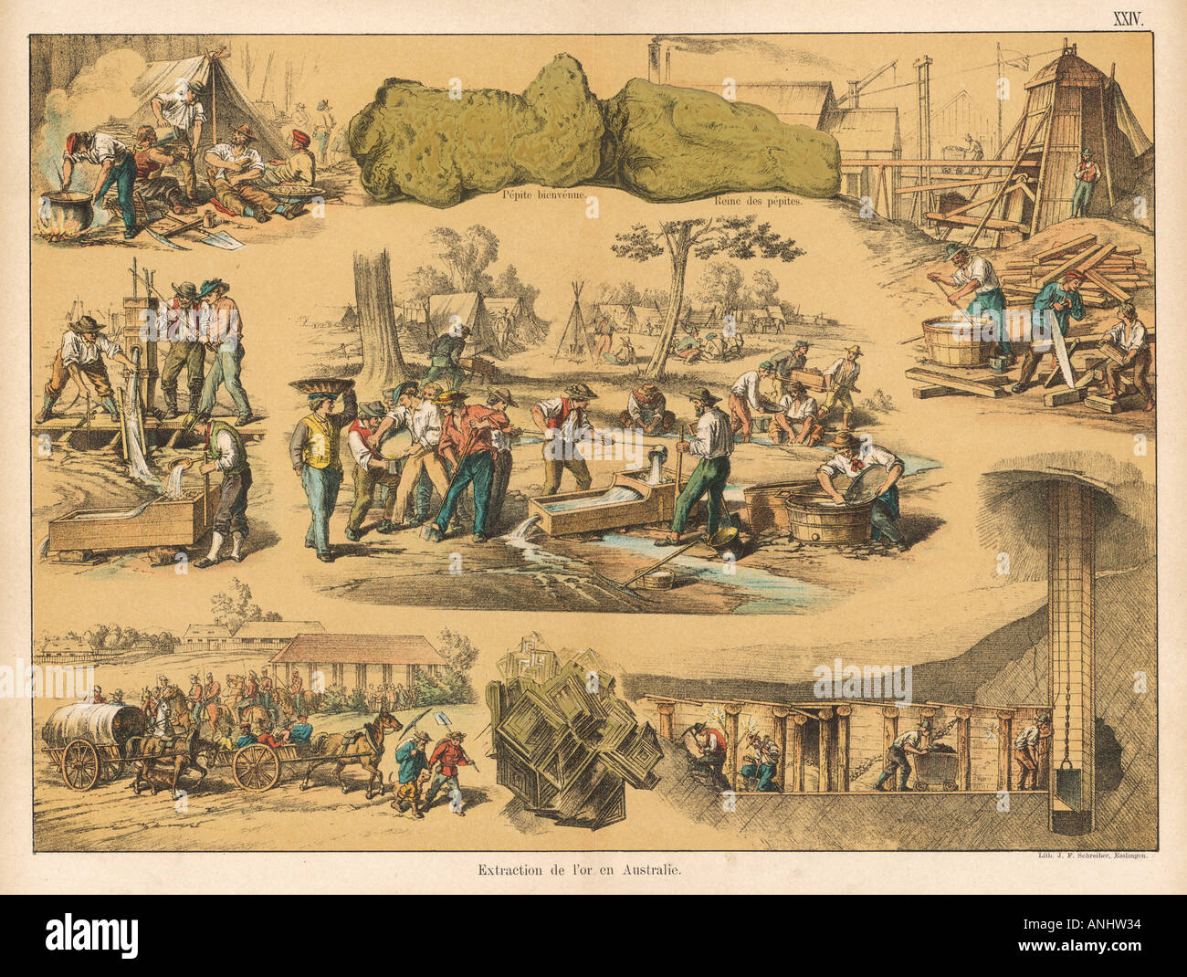 Australian gold rush hi-res stock photography and images - Alamy