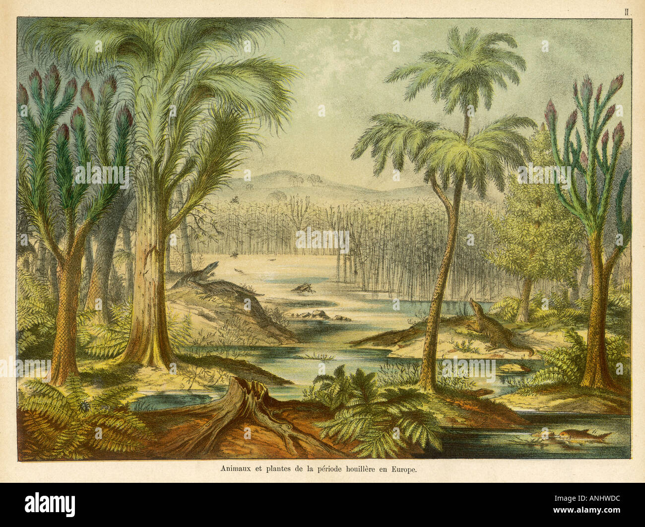 Carboniferous hi-res stock photography and images - Alamy