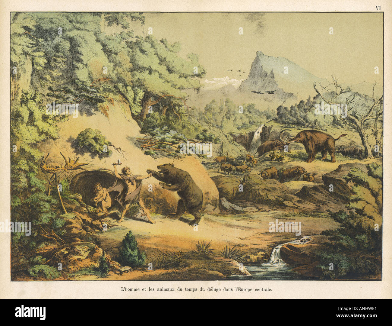 Animals Extinct Flood Stock Photo - Alamy