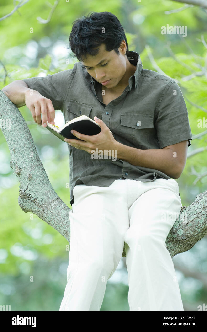 Man sitting in tree, reading book Stock Photo - Alamy