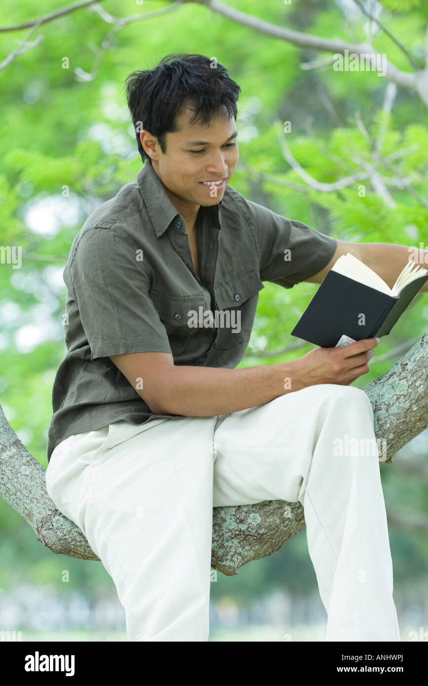 Man sitting in tree, reading book Stock Photo - Alamy