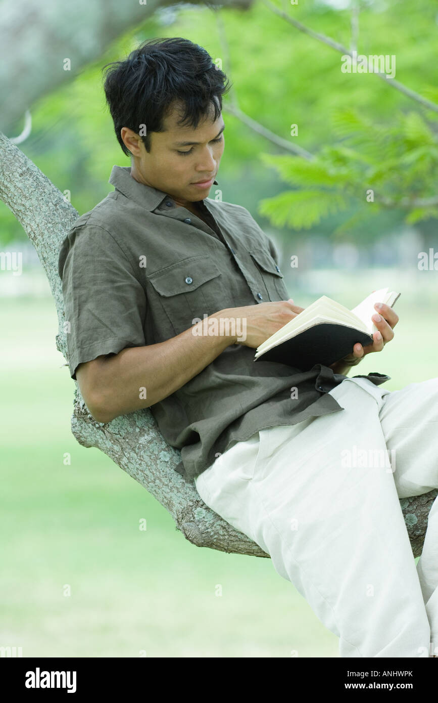 Man sitting in tree, reading book Stock Photo - Alamy
