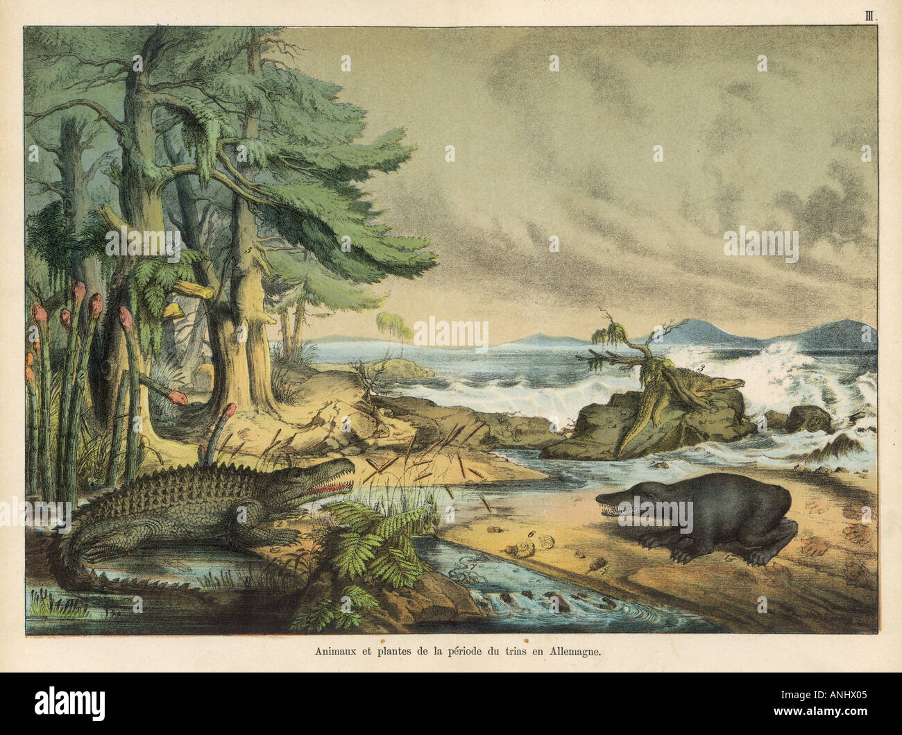 Triassic era hi-res stock photography and images - Alamy