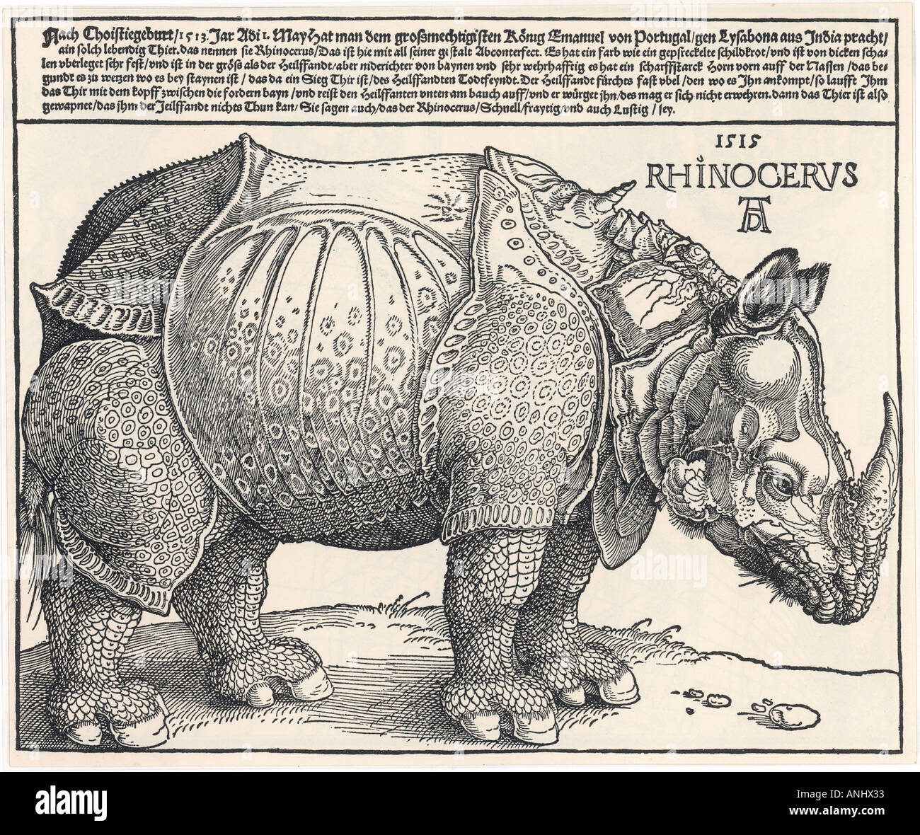 Durer rhinoceros hi-res stock photography and images - Alamy