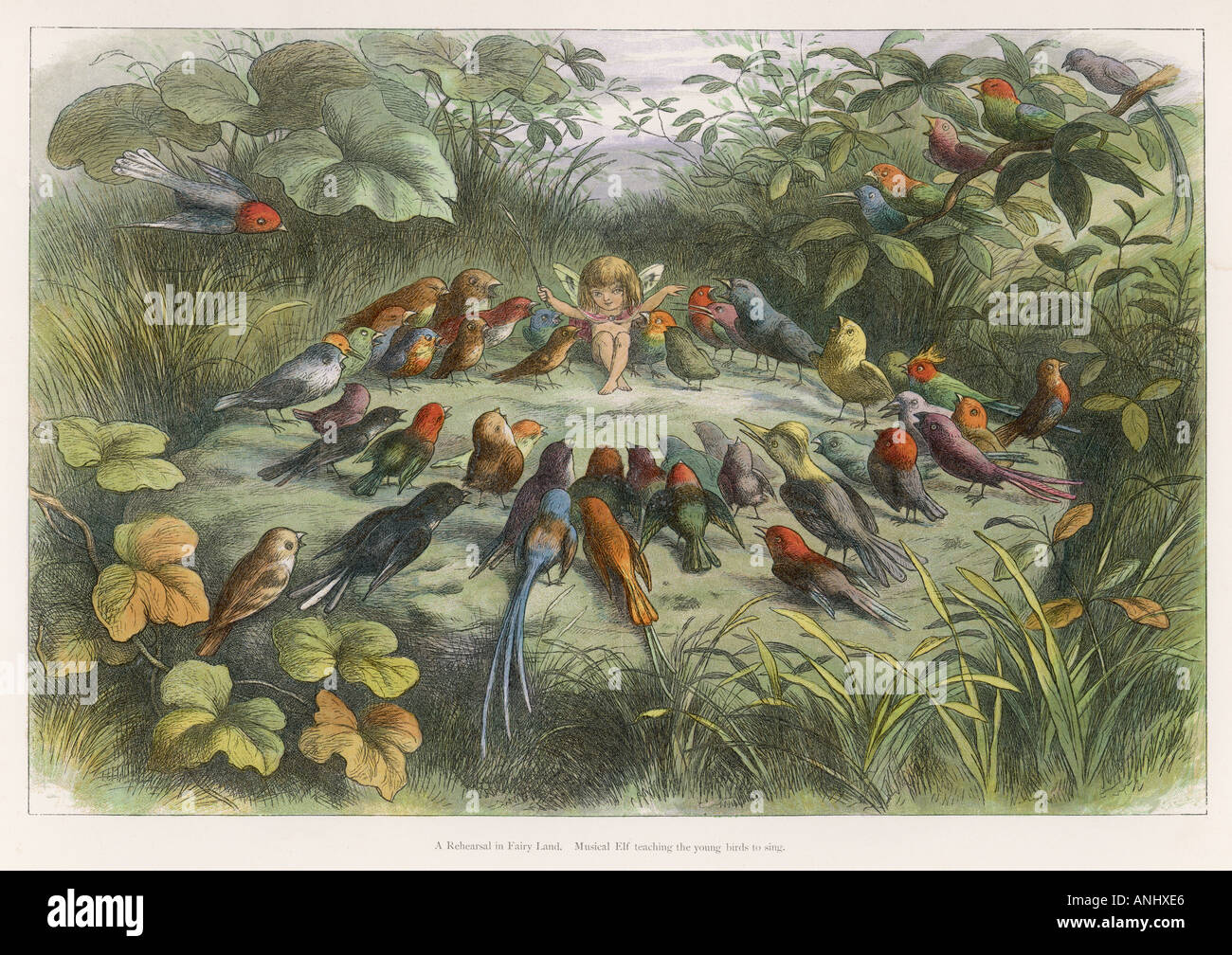 Little Folk Elves Stock Photo - Alamy