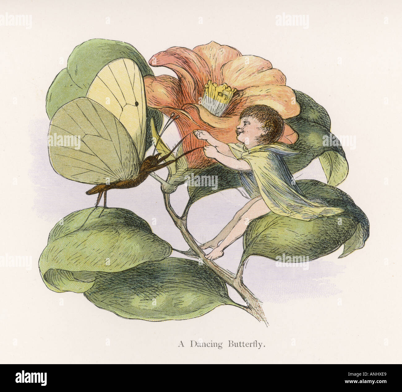 Butterfly folklore hi-res stock photography and images - Alamy