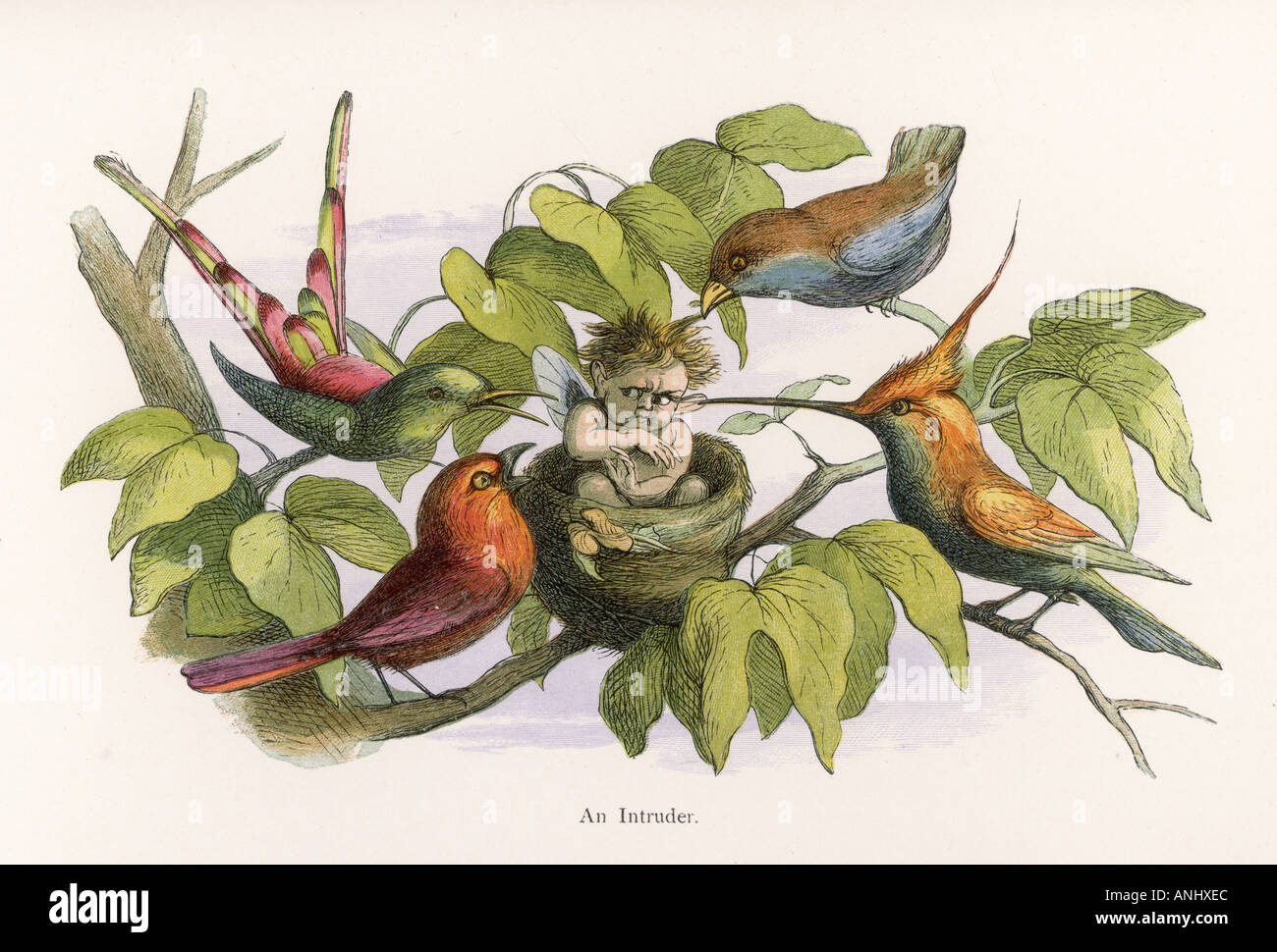 Little Folk Elves Stock Photo - Alamy