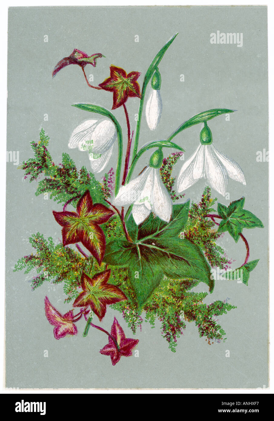 Intertwined plants hi-res stock photography and images - Alamy