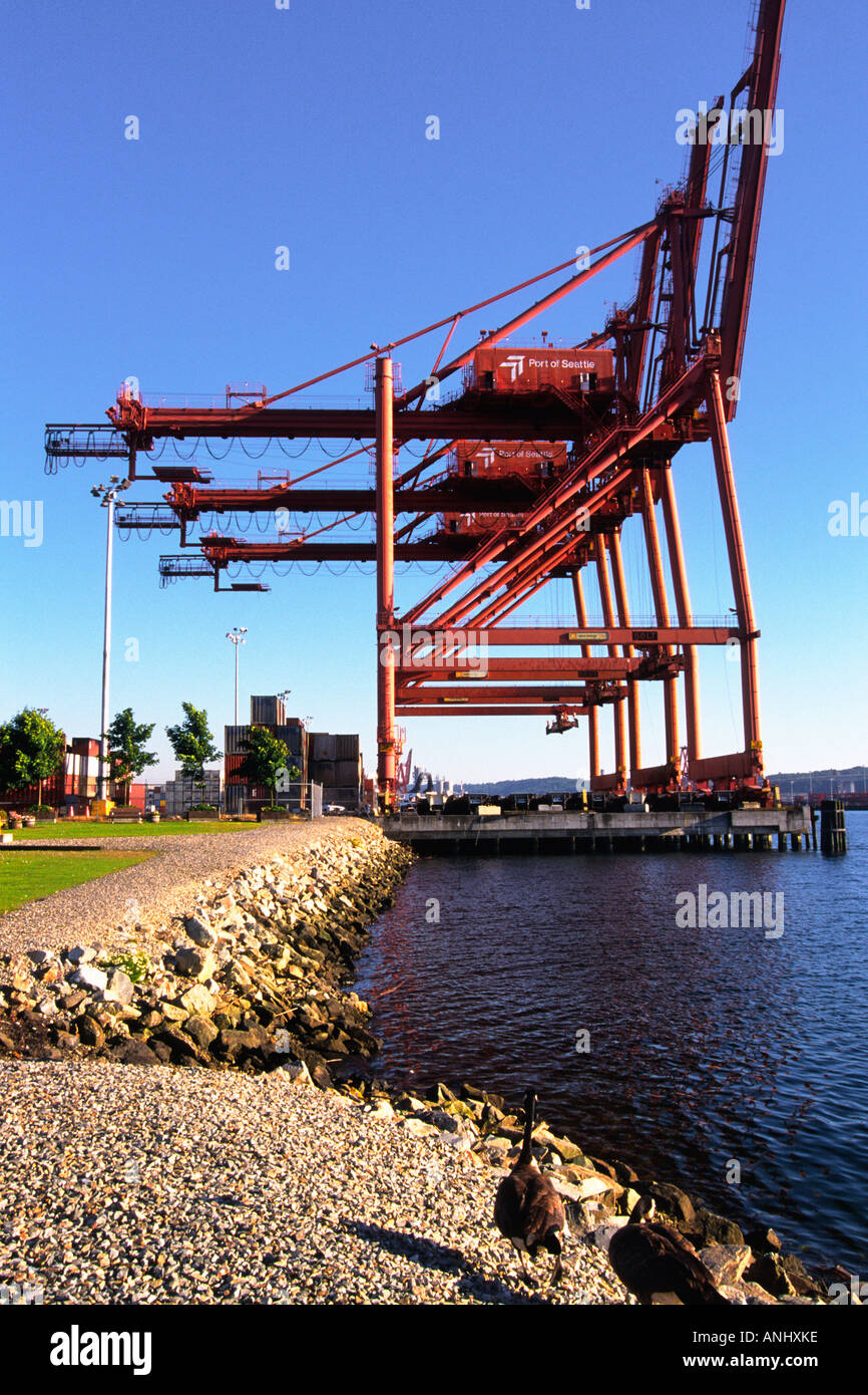 Washington State, Seattle waterfront. Gantry cranes or loading crane ...