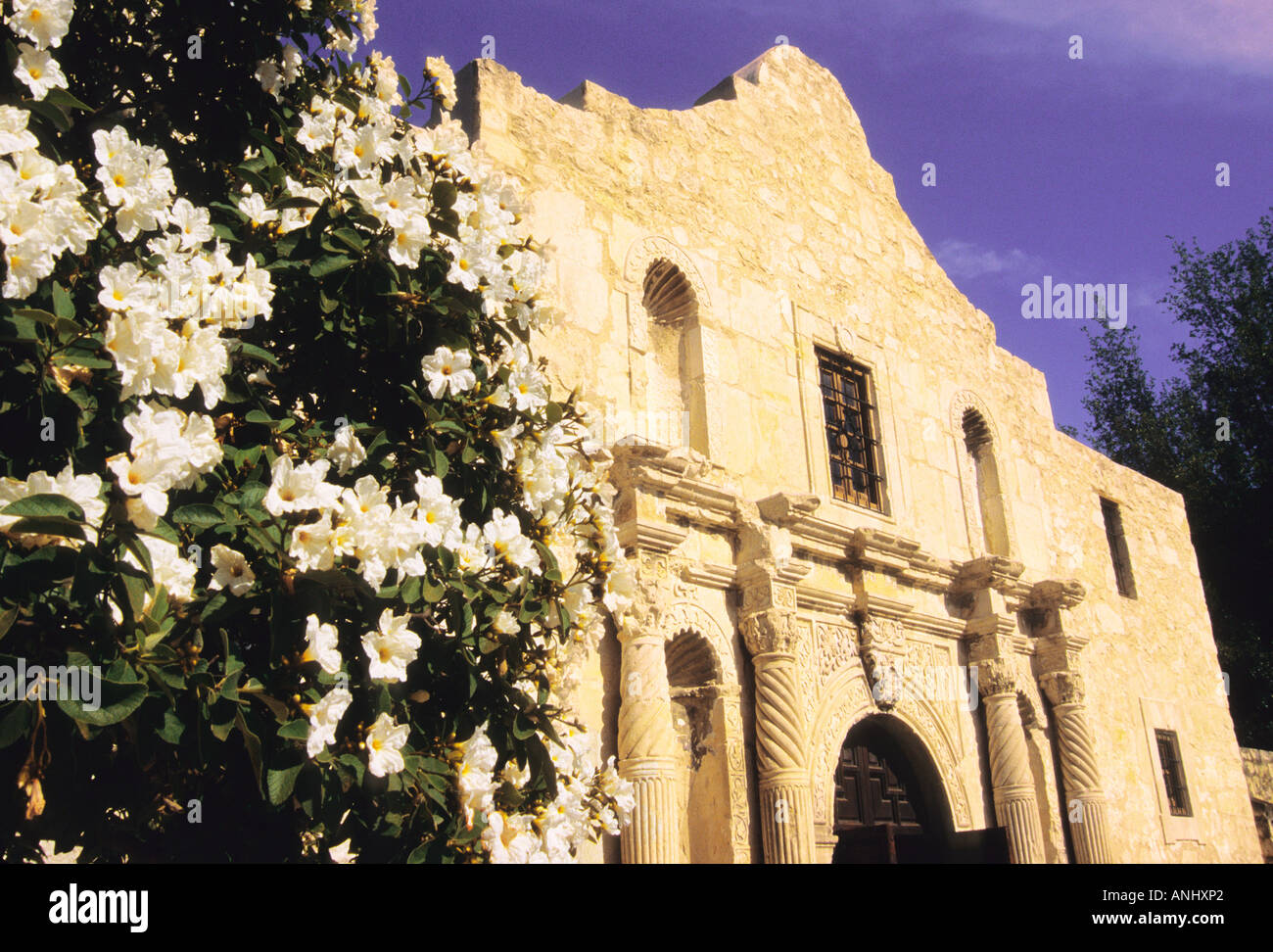 San Antonio Texas, The Alamo The Mission San Antonio de Valero ...